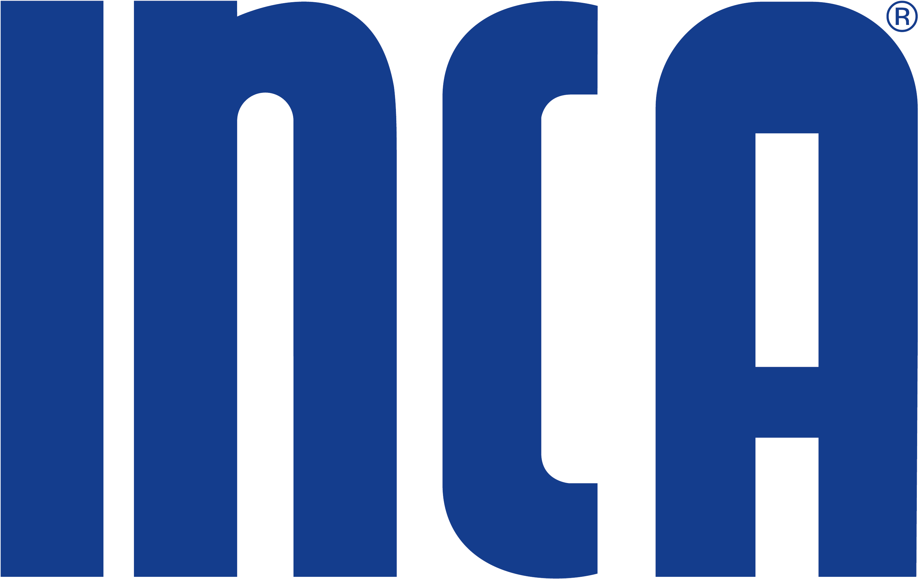 Inca Ach Foods